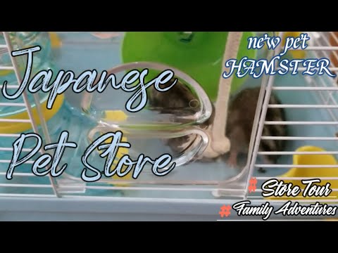 Japanese Pet Store | Buying New Pet Hamster