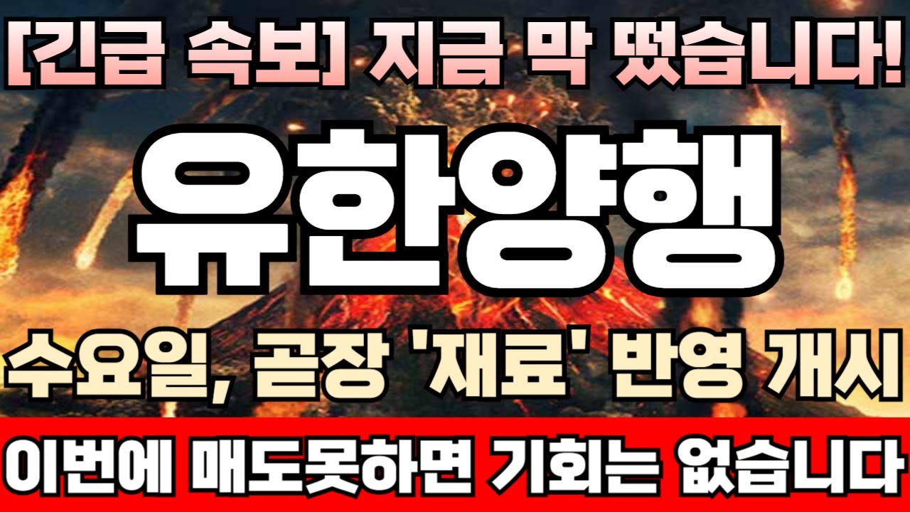 유한양행 주가전망 긴급 ‘자회사 이뮨온시아 기술특례상장 이용해 코스닥 입성 준비 박차 연말 상장 소식들리면 주가