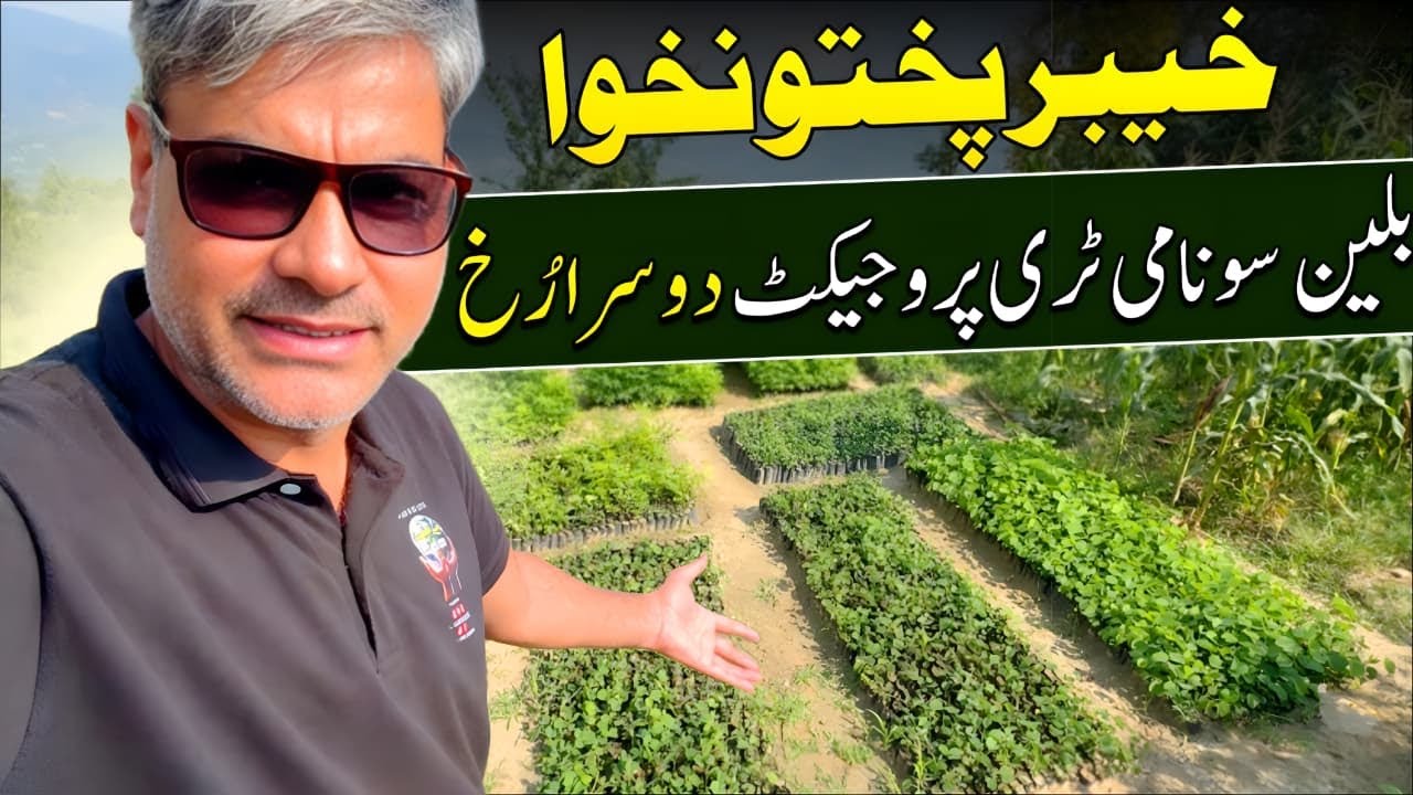 Inside the Billion Tree Tsunami Project in KPK | First-Hand Visit ...