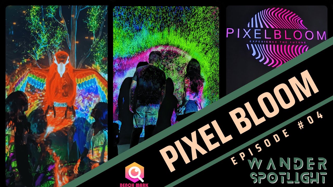 WANDER SPOTLIGHT | EPISODE 04 | PIXEL BLOOM - YouTube