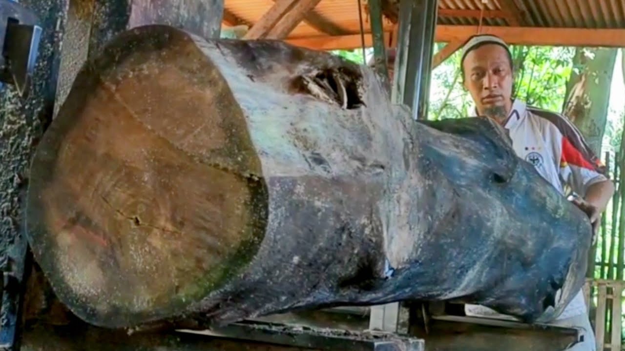 Dangerous cutting of stumps to make house construction blocks in ...