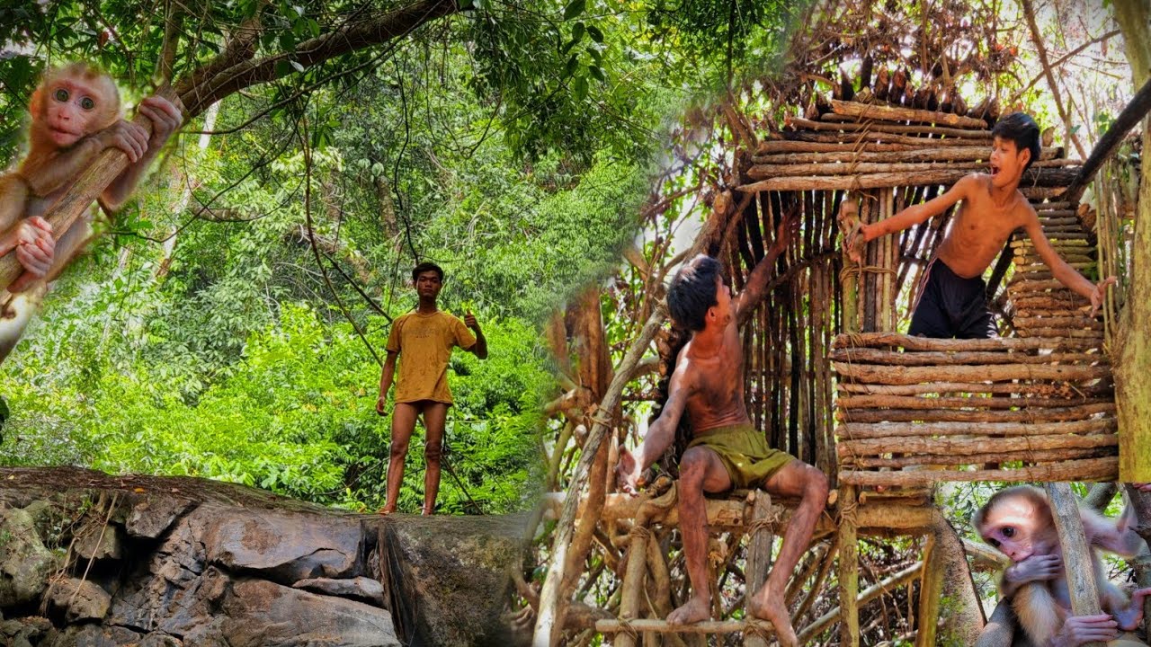 Khmer people build houses on trees - YouTube
