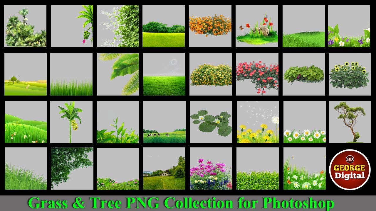 Grass and Tree PNG file collection for Photoshop(@georgedigital6948 ...