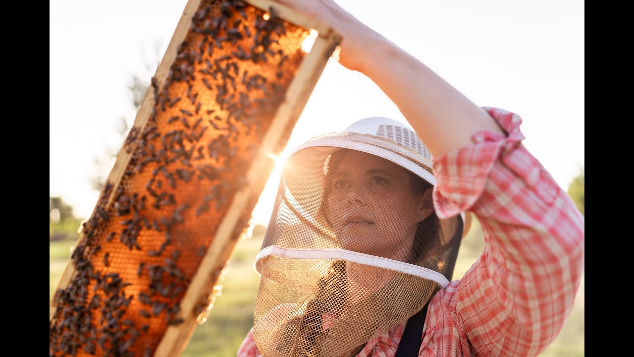 Become a beekeeper! Online E-Course - YouTube