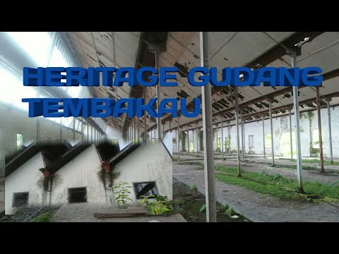 Main Di GuDang TembakAu Deli  1878