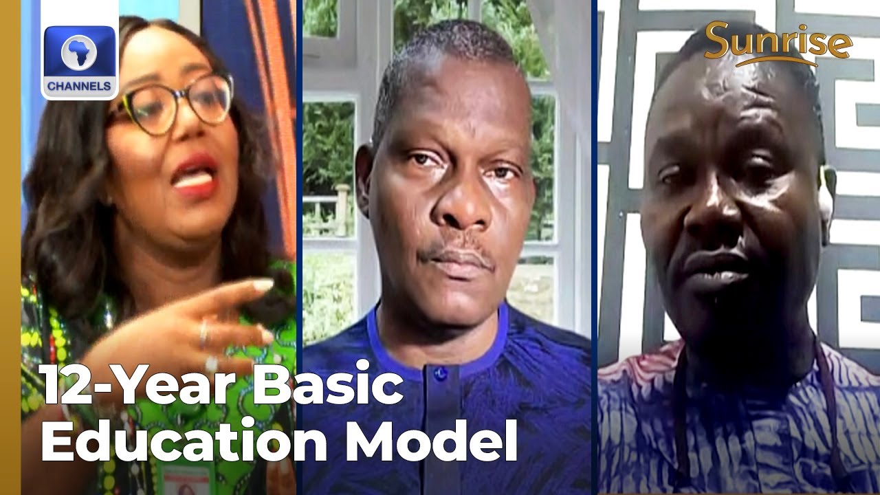 Educationists On Impact Of 12-Year Basic Education Model - YouTube