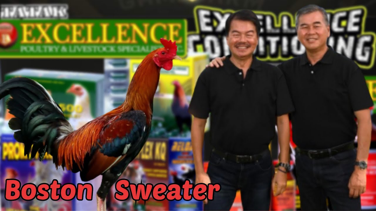 Personal breeding escolin line green country gamefarm - YouTube