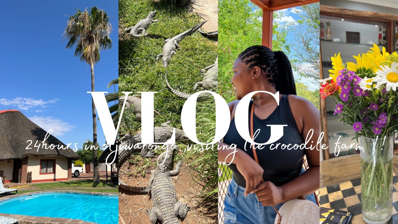 VLOG: crocodiles stop growing when they’re stressed??? 😧😧 24/hs in ...