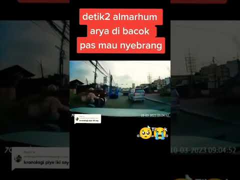 Viral lagi Detik Detik Arya di bacok pas nyebrang#Arya#bogor #viral #beritaterkini