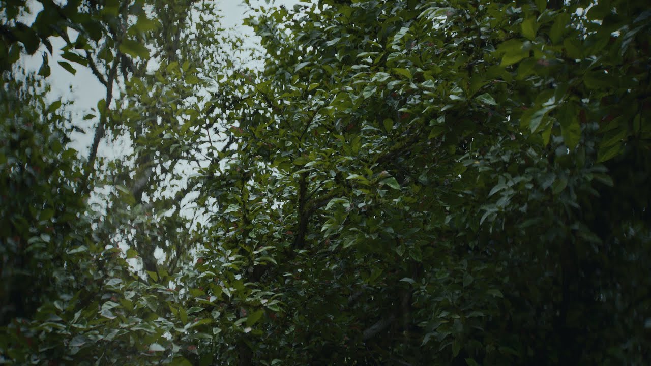 C4D // OCTANE - MONSOON // 3D ENVIRONMENT ART 4K - YouTube