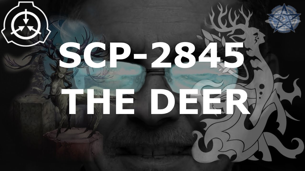 SCP-2845 | THE DEER - YouTube