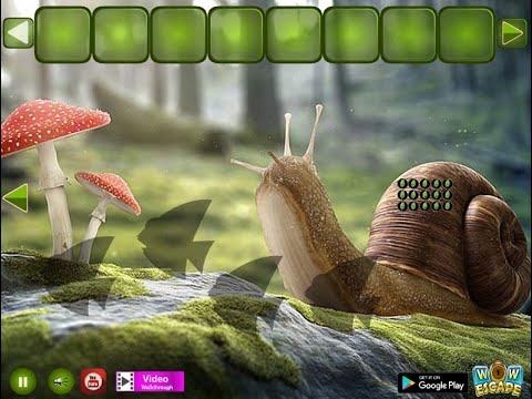 illusionist snail forest escape video walkthrough - YouTube
