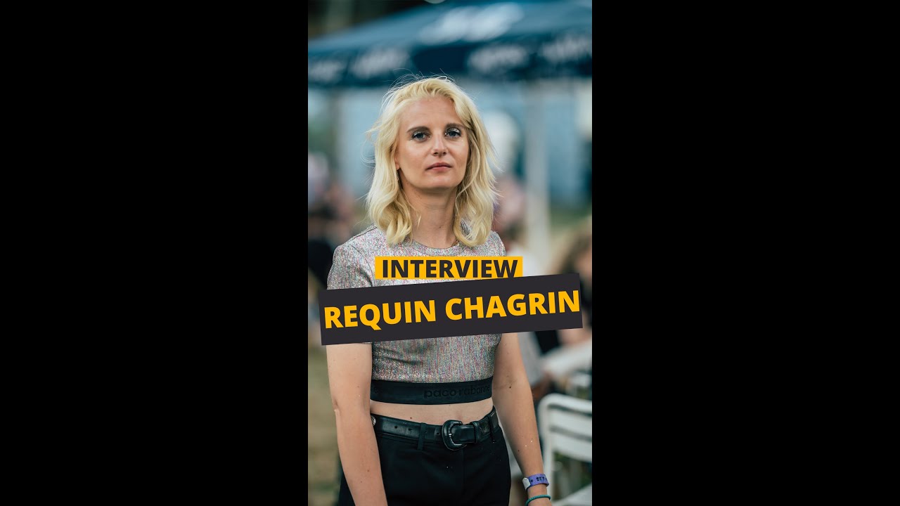 Interview : Requin Chagrin (dans les backstages de Rock en Seine) - YouTube