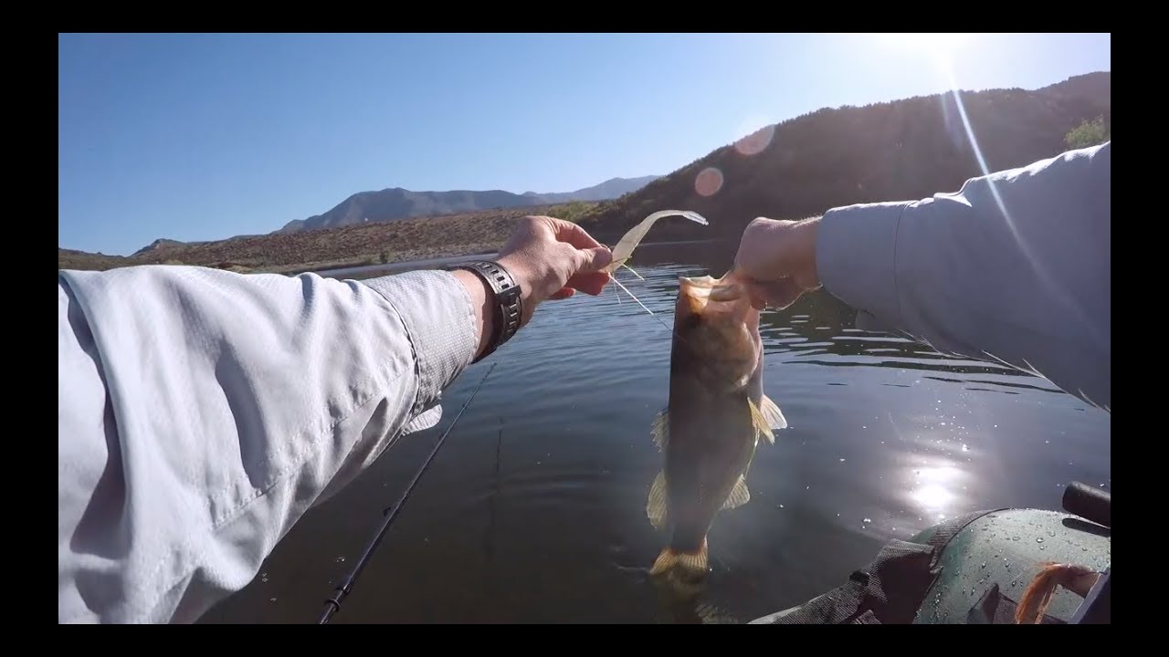 Fluke Fishing For Bass In Float Tubes!! - YouTube