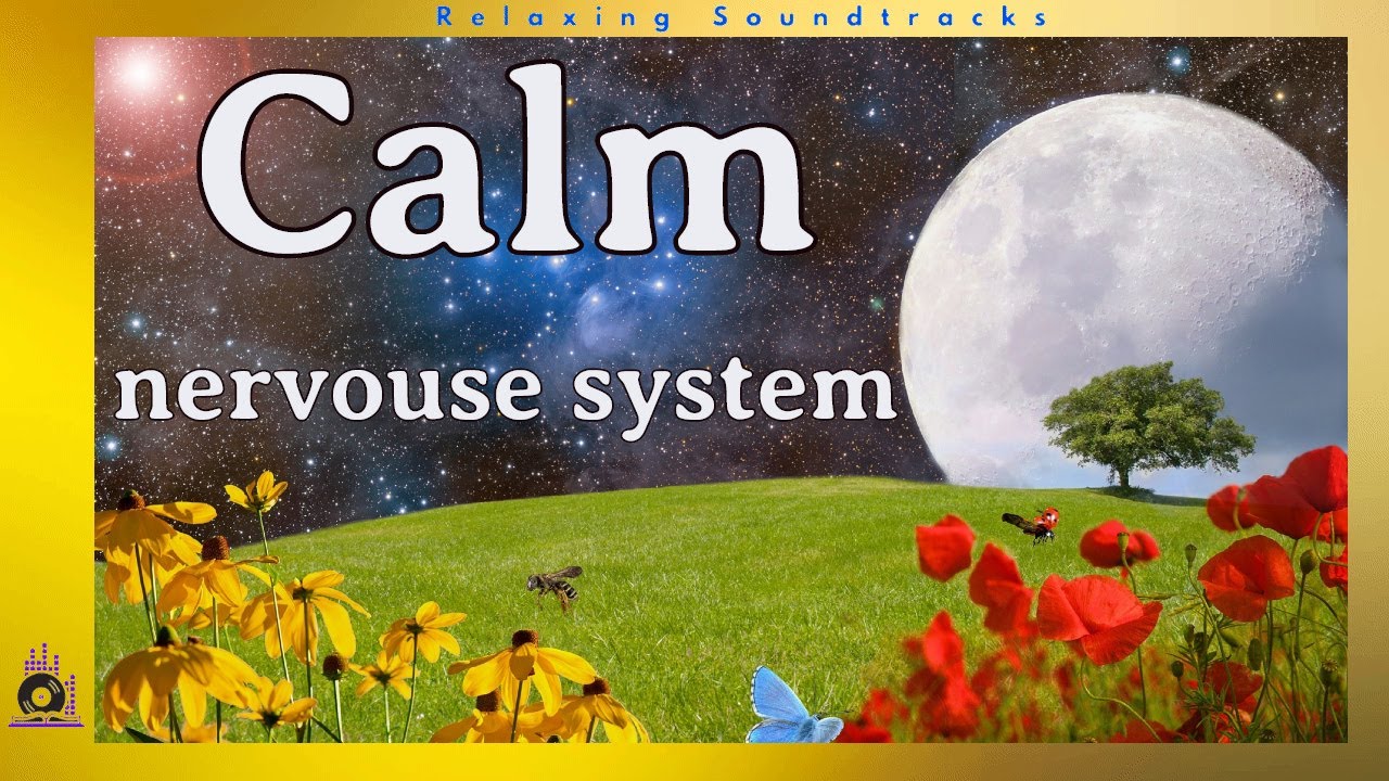 Calm music restore nervous system - YouTube