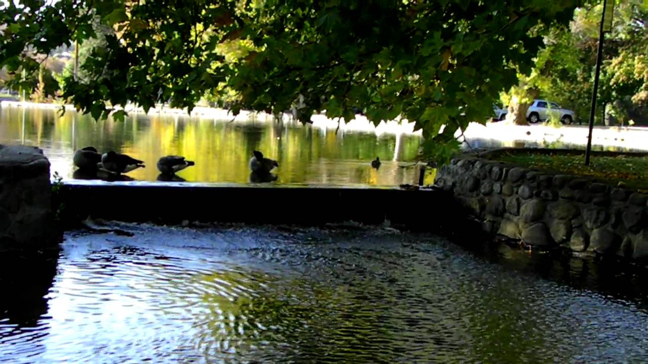 Idlewild Park Reno Nv - YouTube