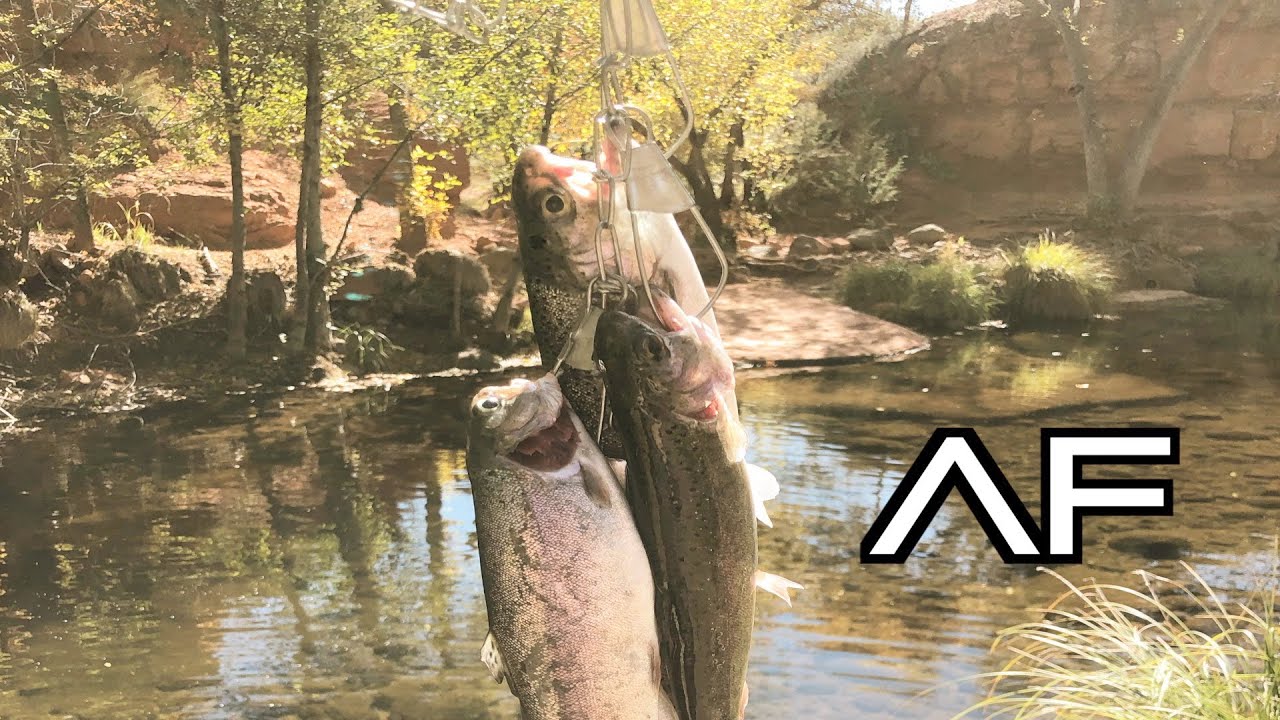 ARIZONA FISHING AT WET BEAVER CREEK!!! - YouTube
