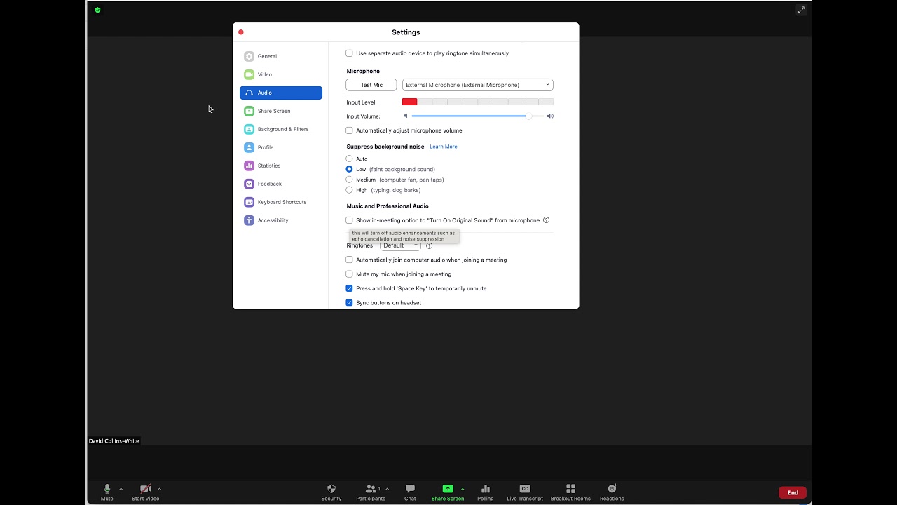 Zoom Audio Settings YouTube zoom-audio-settings-youtube