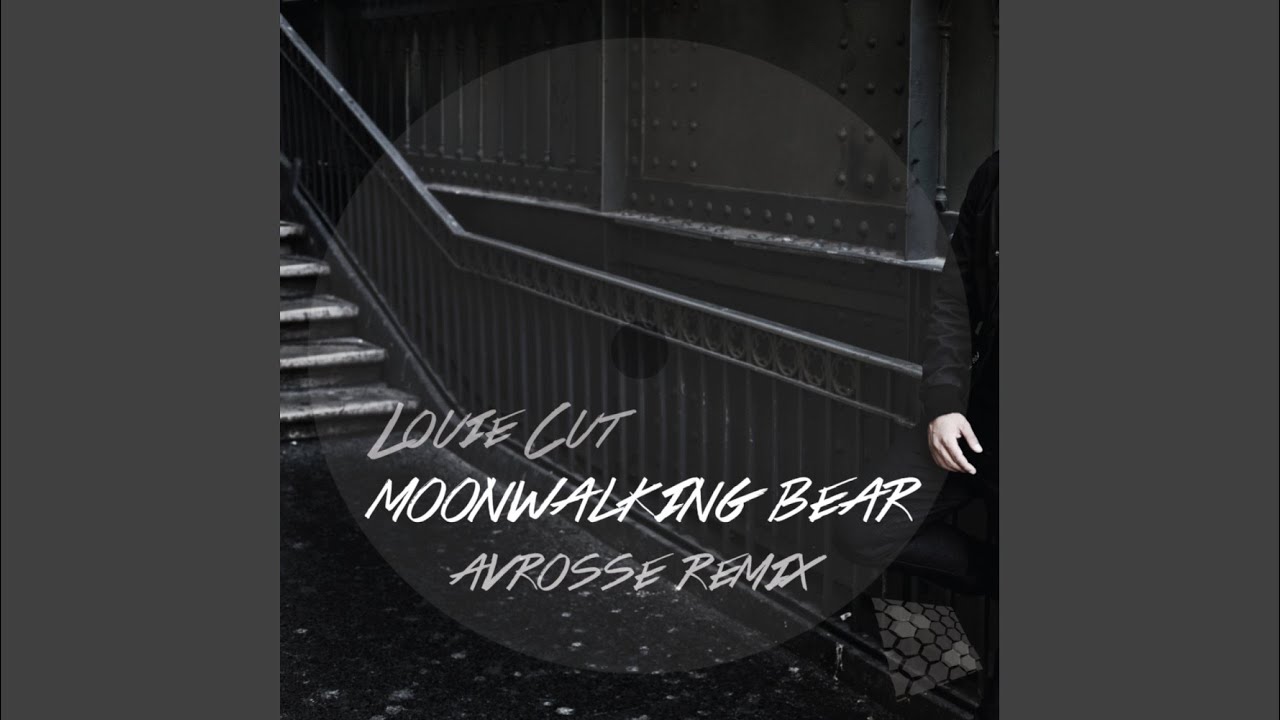 Moonwalking Bear (Avrosse Remix) - YouTube