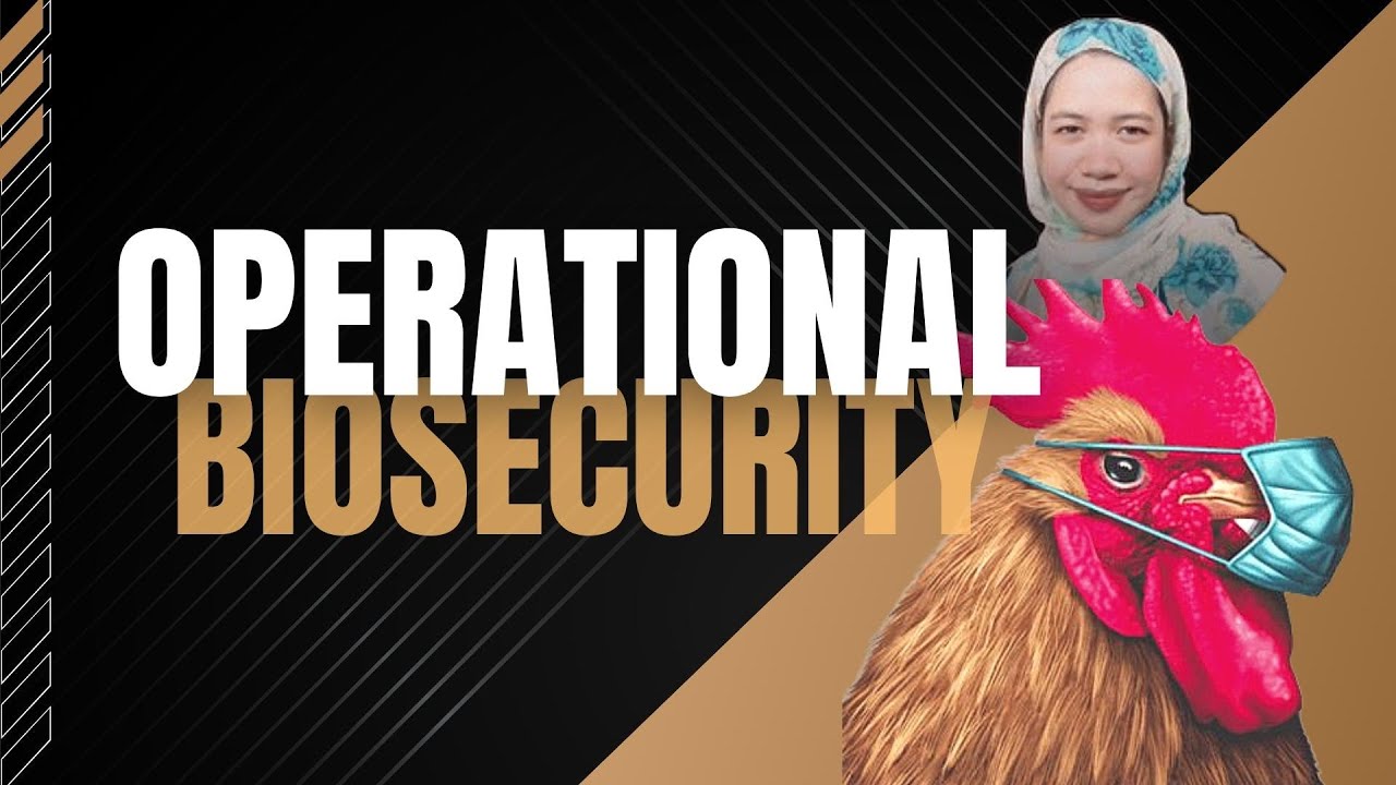 POULTRY 1 | Operational Biosecurity | Module 13.3 (Student Output ...