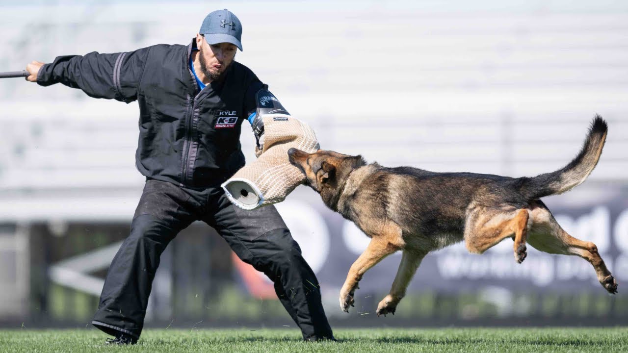 Luca Mazzucco & Imzedrift's Nick USCA WDC 2024 - C93 - YouTube