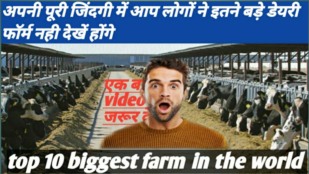Top10 Big dairy farm in the world/duniya ke10 Sabse bade farm/desi boy ...