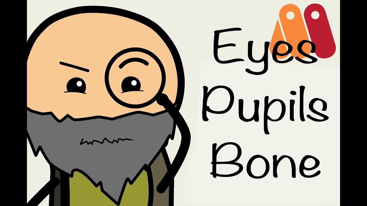 How To Make Animation and rigging Eyes / Pupils Using Bones in Anime ...