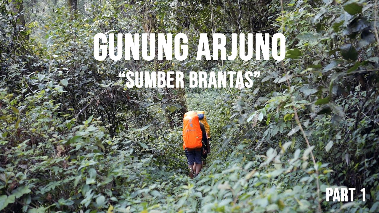 Gunung Arjuno via sumber brantas (1/2) - YouTube
