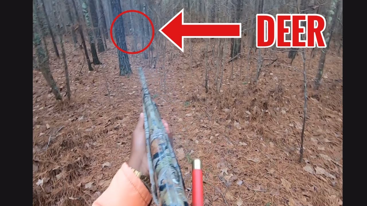 Deer Hunting with Dogs (Shot at a Black Deer!!) - Great Chases!! - YouTube