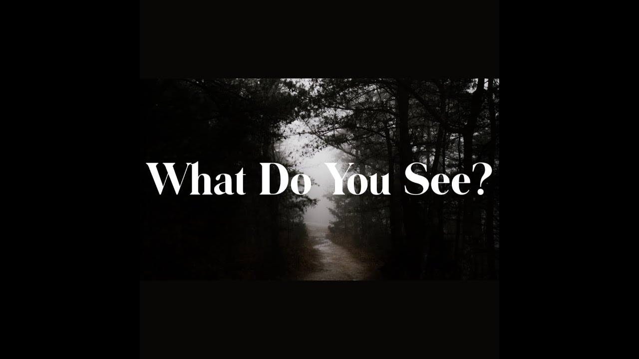 What Do You See? - YouTube
