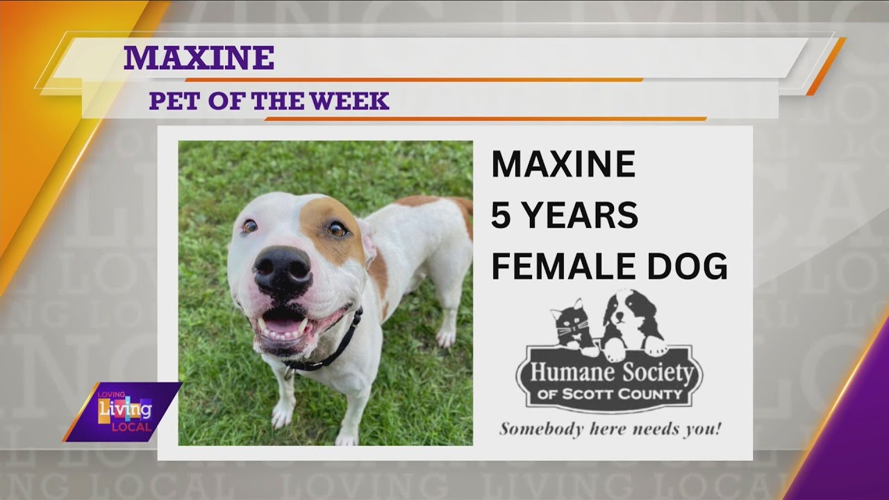 Pet of the Week | Maxine - YouTube