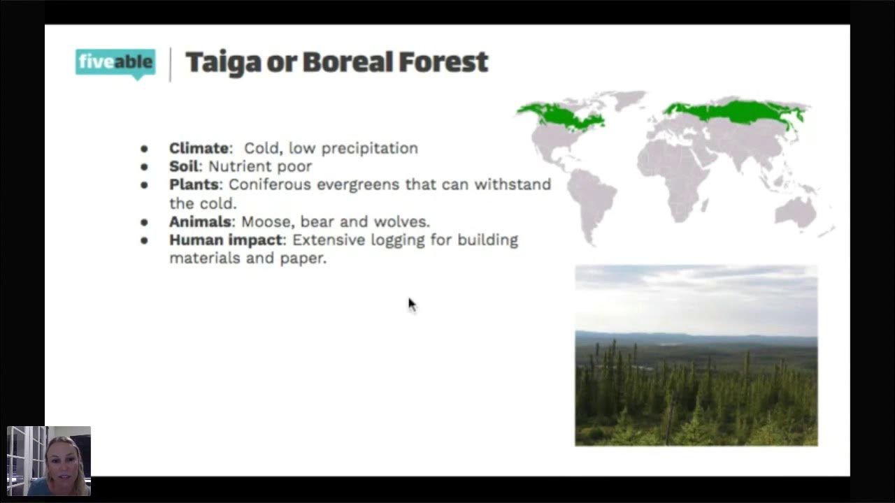 APES - Terrestrial and Aquatic Biomes - YouTube