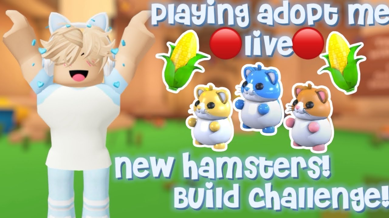 New hamster update! Playing Roblox adopt me 🔴live🔴 - YouTube