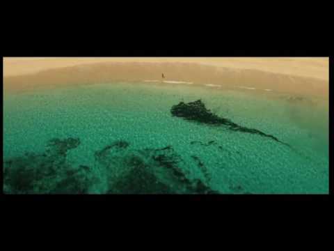 Sia-Bird Set Free (miedo profundo)