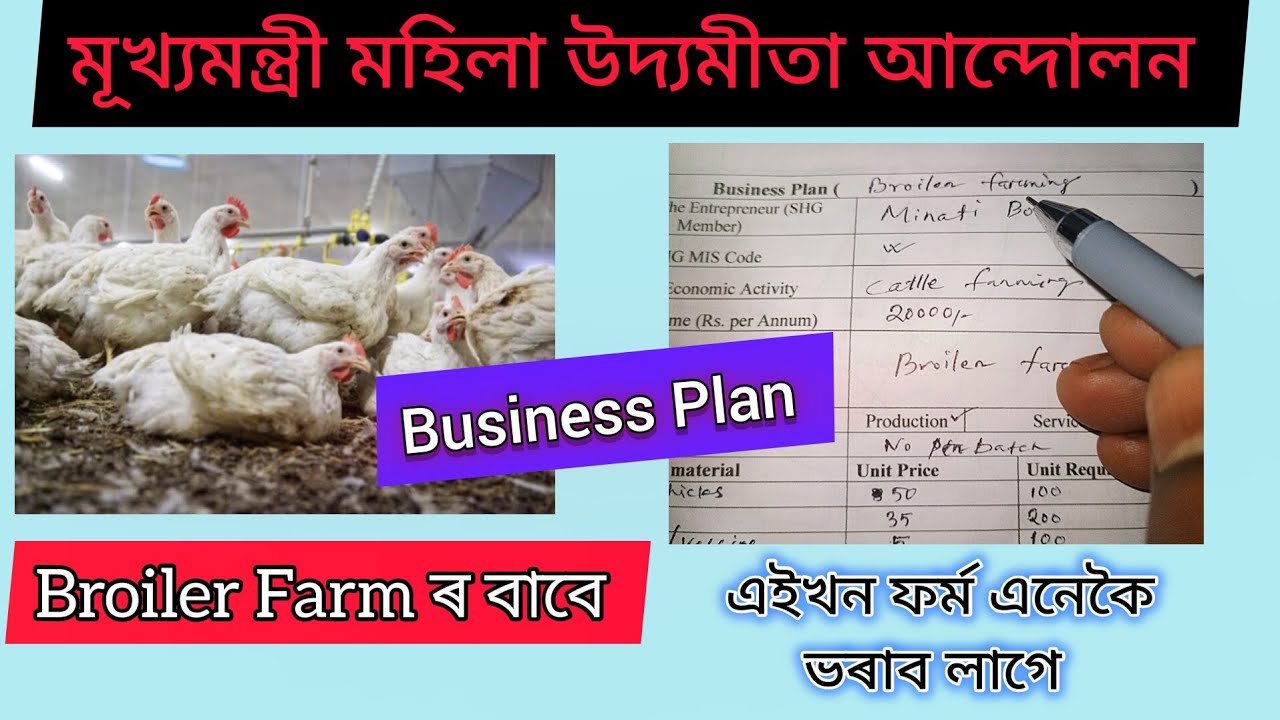 Business Plan for Broiler Farming // Poultry // ব্ৰয়লাৰ মুৰ্গীৰ বাবে ...