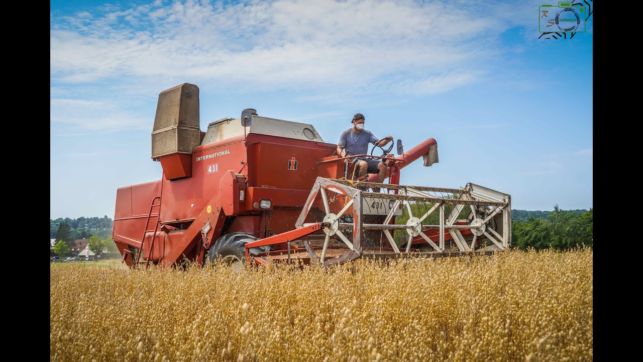 Hafer Ernte wie vor 40 Jahren /IHC431 - YouTube