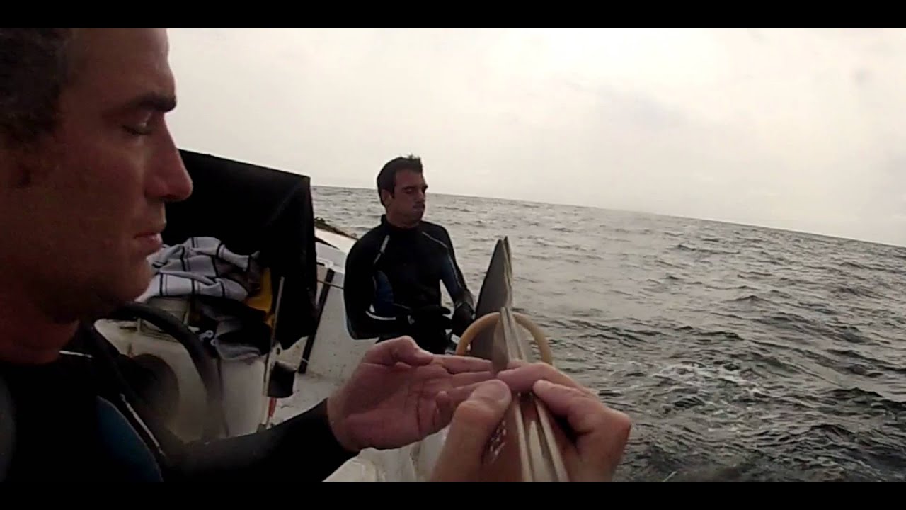 Chasse sous marine Gabon Best Of 2015 - YouTube