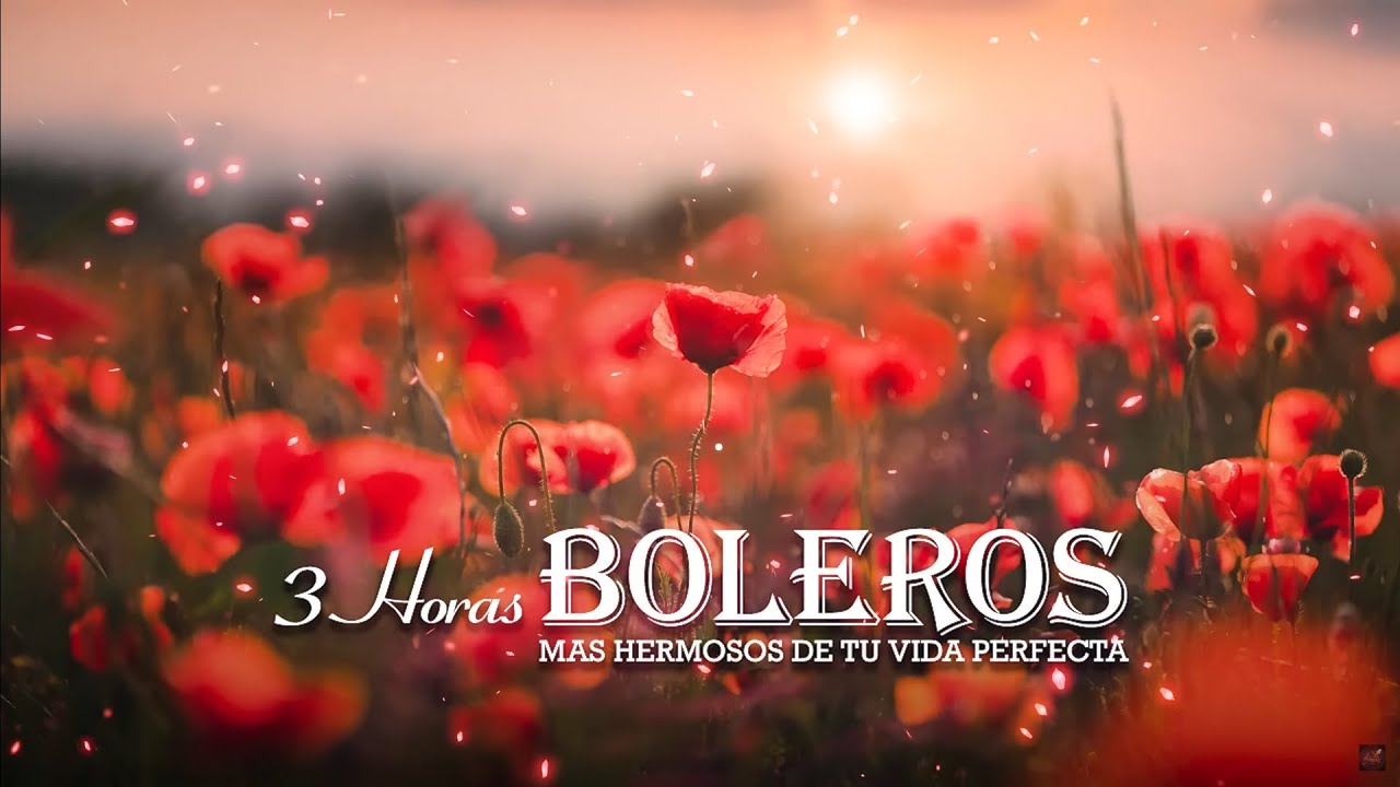 Instrumental Boleros For The Guitar Soul - The Most Beautiful Boleros ...