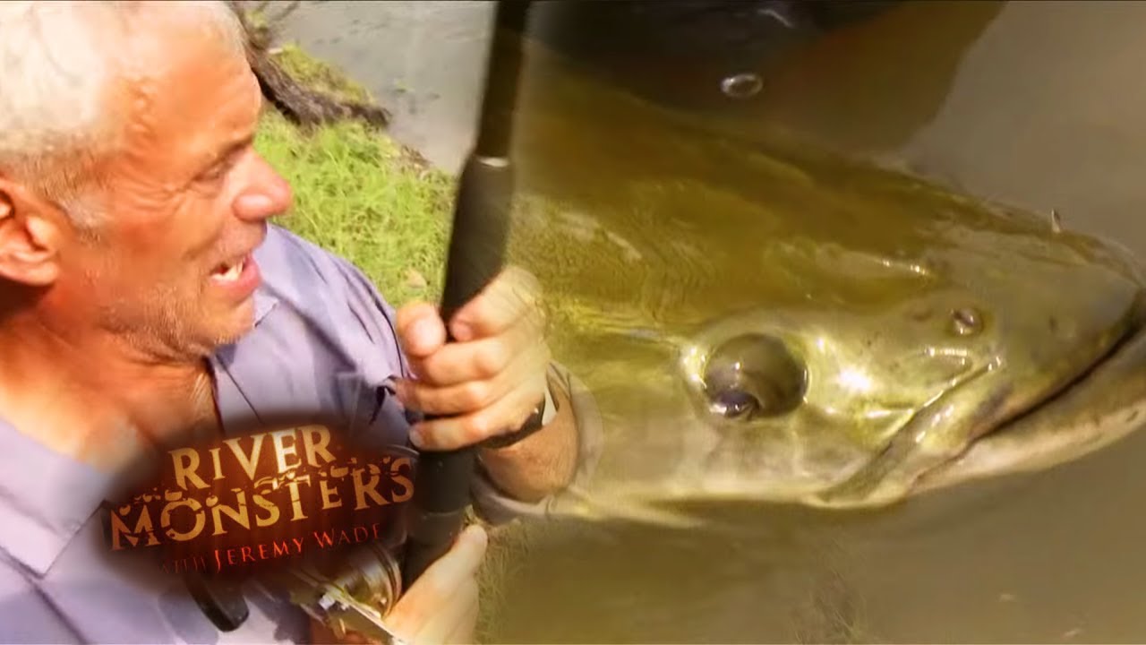 Catching A Prehistoric Predator | ARAPAIMA | River Monsters - YouTube