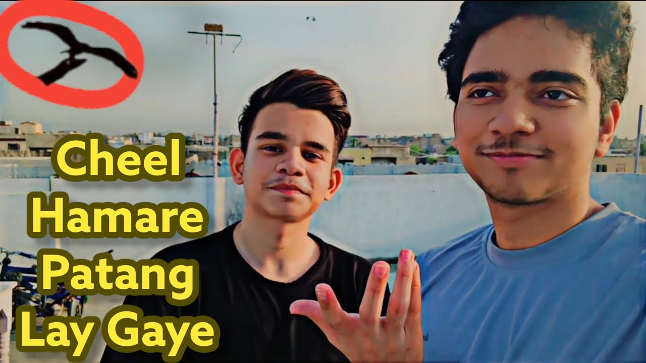Cheel Hamari Patang Lay Gaye | Mini Vlog - YouTube