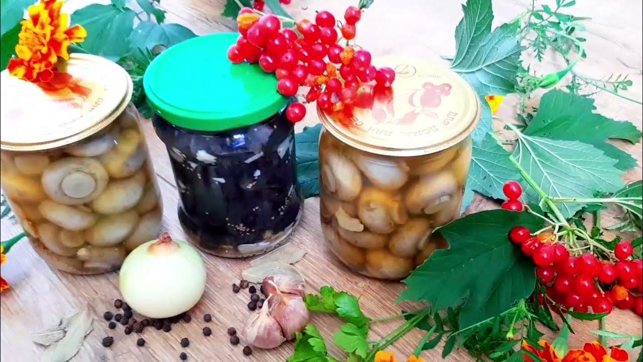 Цей маринад зробить ваші гриби найсмачнішими😋😋 - YouTube