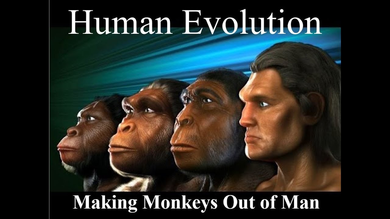 Evolution Making Monkeys Into Man - YouTube