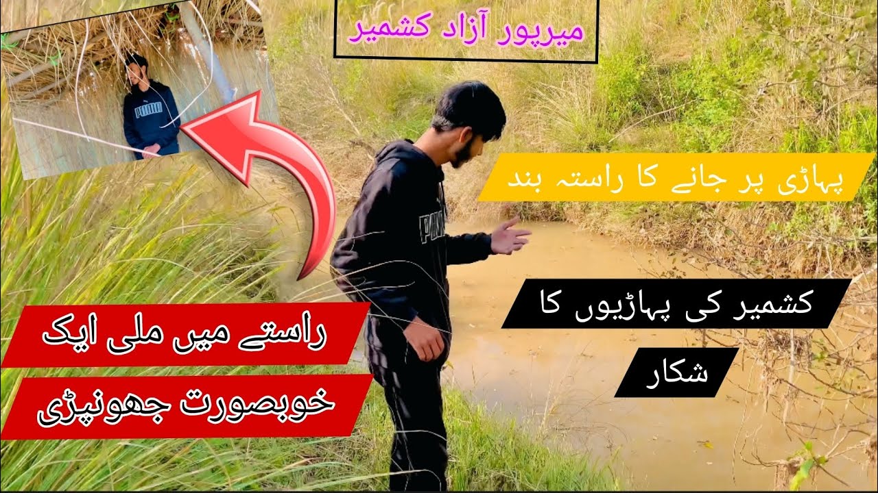 hunting in azad Kashmir mountains ️‍🩹 || ازاد کشمیر میں شکار - YouTube