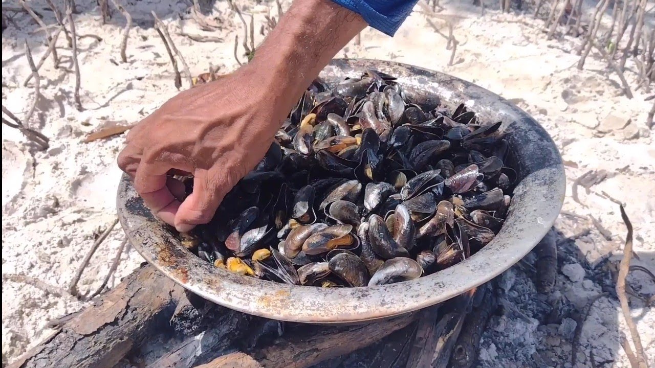 TIRADA DE SURURU DE PASTA E SARNAMBI NOS LAVADOS DE RAPOSA. - YouTube