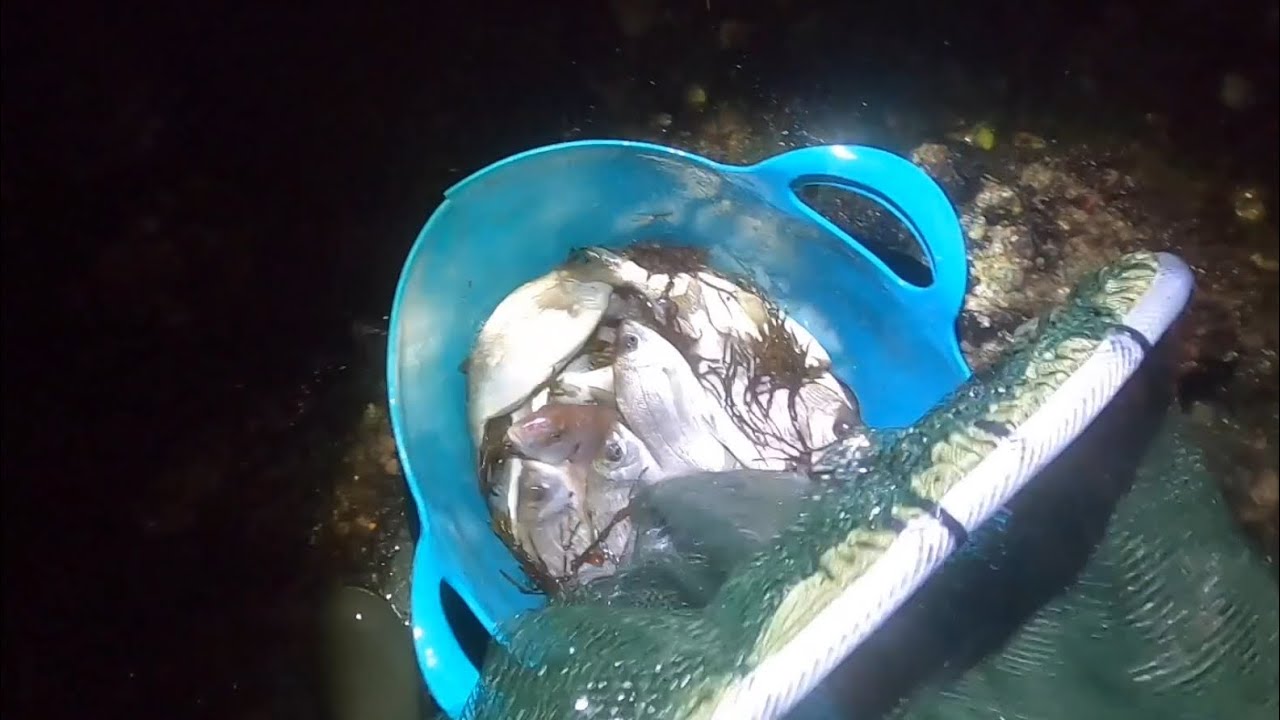 BIG HIT OF FISH For COMMERCIAL FISHERMAN - YouTube