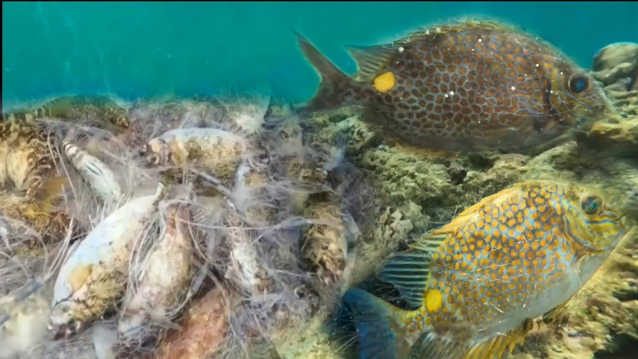 MATINDI ANG SPOT NI PAUL! NAMUTI ANG ISDA SA LAMBAT! - YouTube