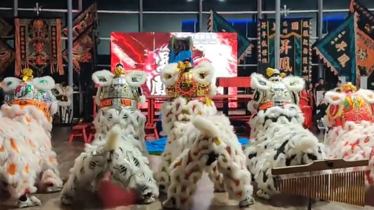 Lion Dance with Phoenix Dance - Rising Phoenix Texas 10 Years ...