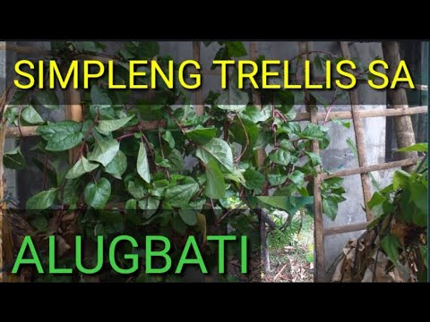 BUHAY BUKID TRELLIS SA ALUGBATI - YouTube