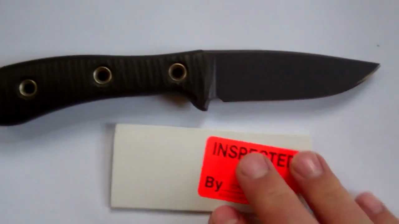 Swamp Rat Rodent Solution - YouTube