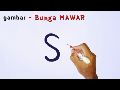 Cara gambar Bunga Mawar diawali huruf S
